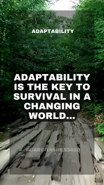Adaptability Unveiled: Navigating Change through Inspirational Insights ...