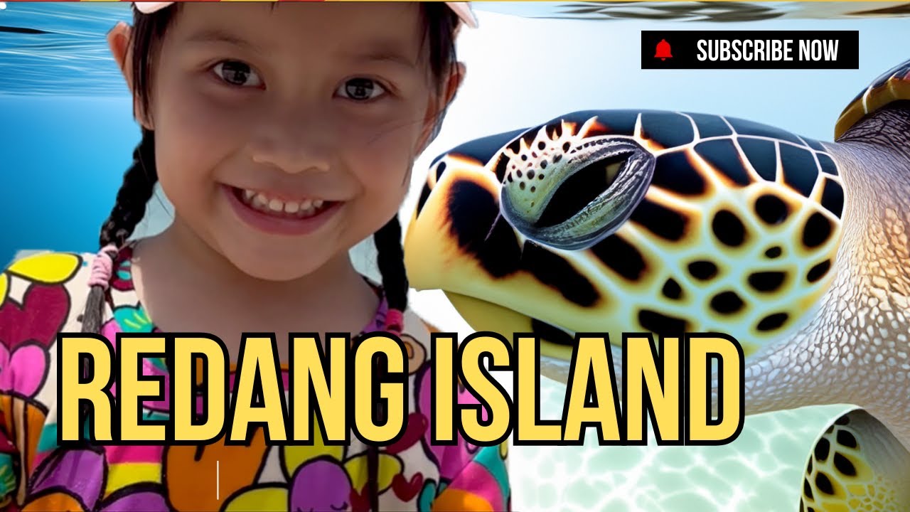 REDANG ISLAND ADA KE SEA TURTLE - YouTube