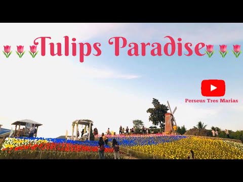 Layugan Garden || Layugan, Bucay Abra - YouTube