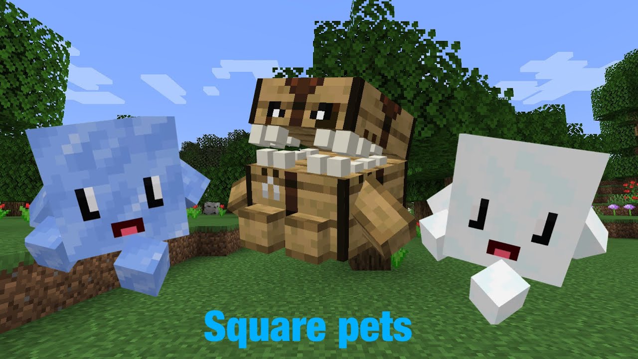 Block Pets mod for Minecraft - YouTube