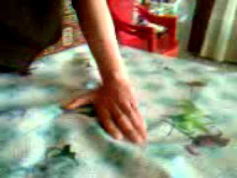 zaur bacariqli eller