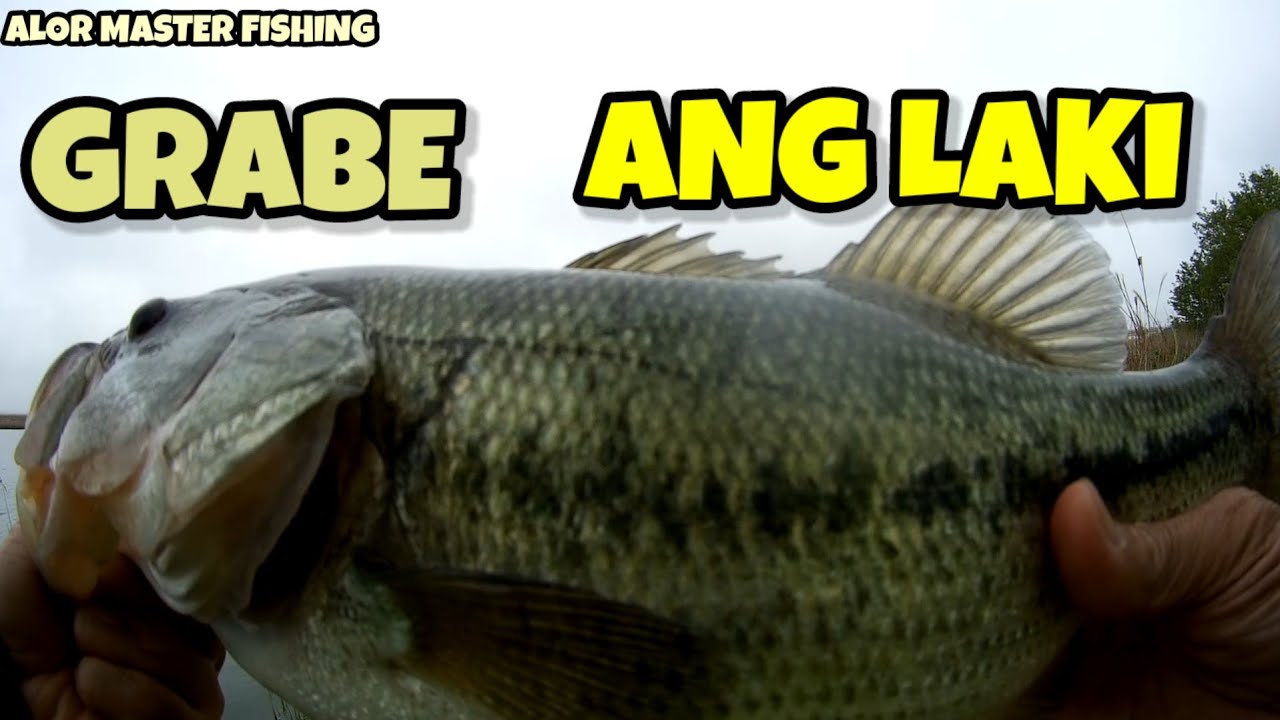 EARLY SPRING BASS LURE (for the big bass) - YouTube