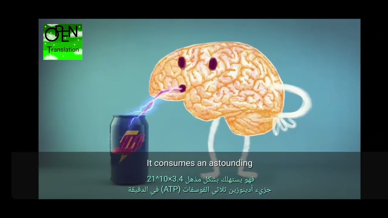 Brain abilities-قدرات الدماغ-learn english by translation-تعلم ...