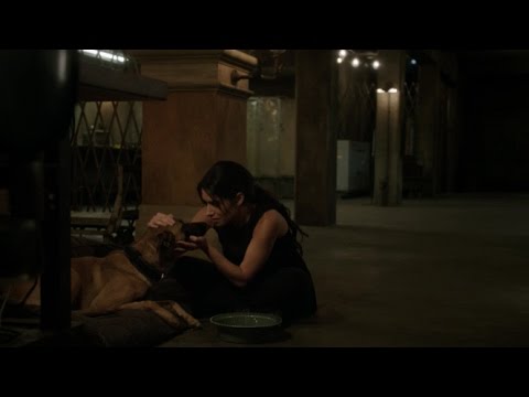 She Hates Everybody | Sameen Shaw, Person of Interest - YouTube