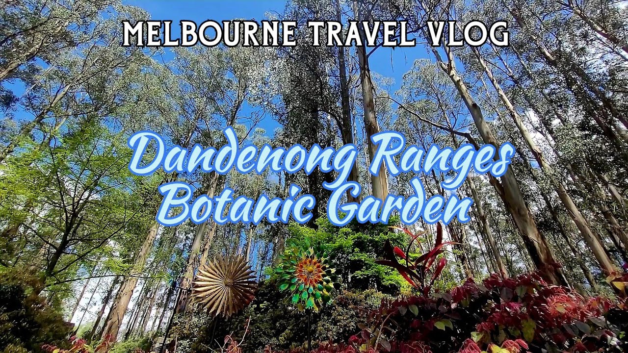 Exploring Dandenong Ranges Botanical Garden Walk | Melbourne Australia ...