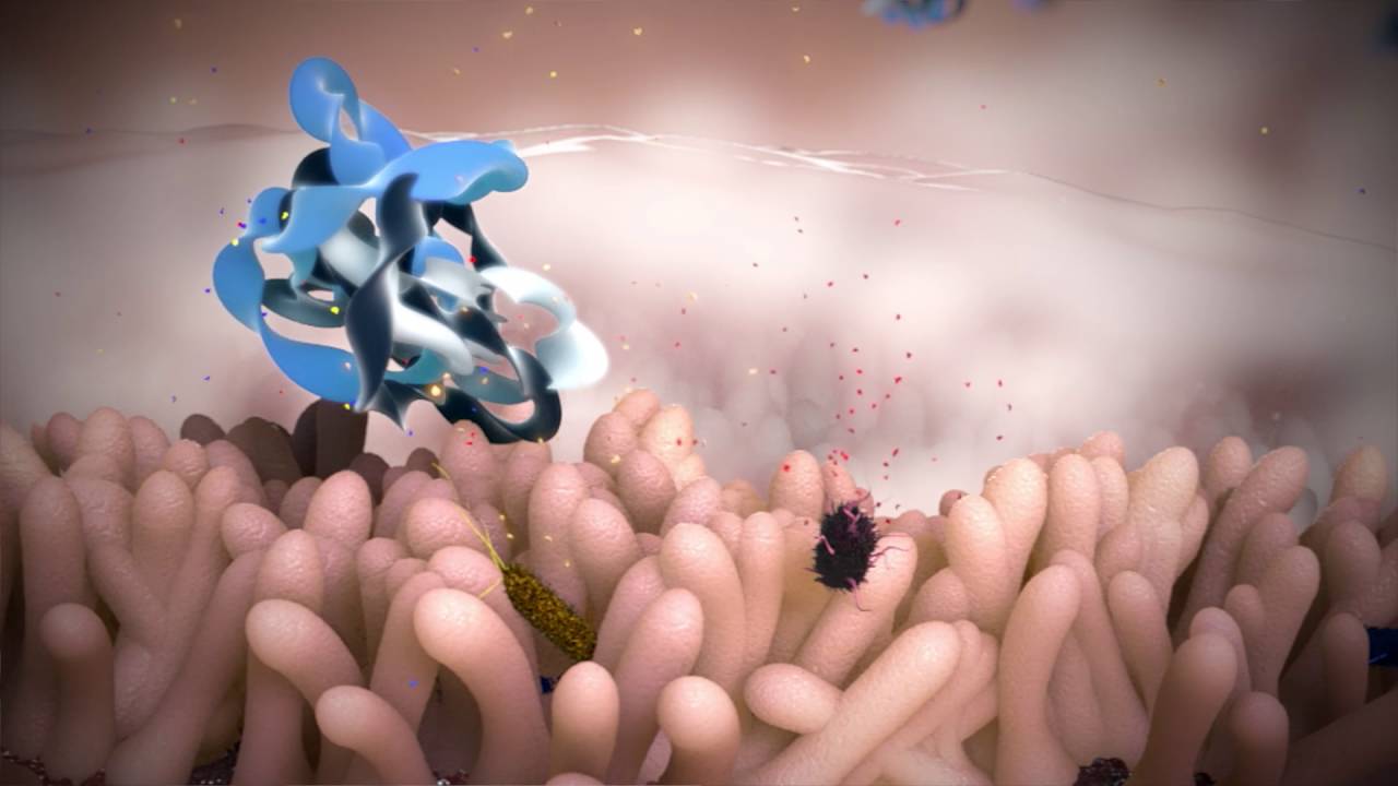 Varium Solution Amlan International - YouTube