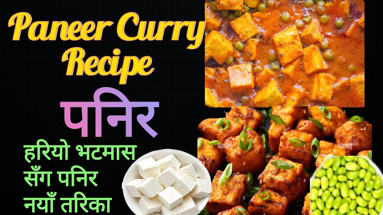 Paneer Recipe || Easy Panner Recipe || Hariyo Bhattamas Panner Recipe ...