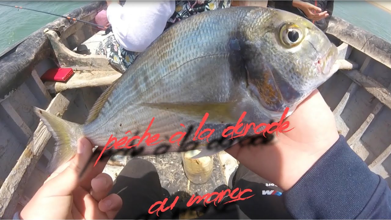 Pêche la dorade au Maroc #2 - YouTube