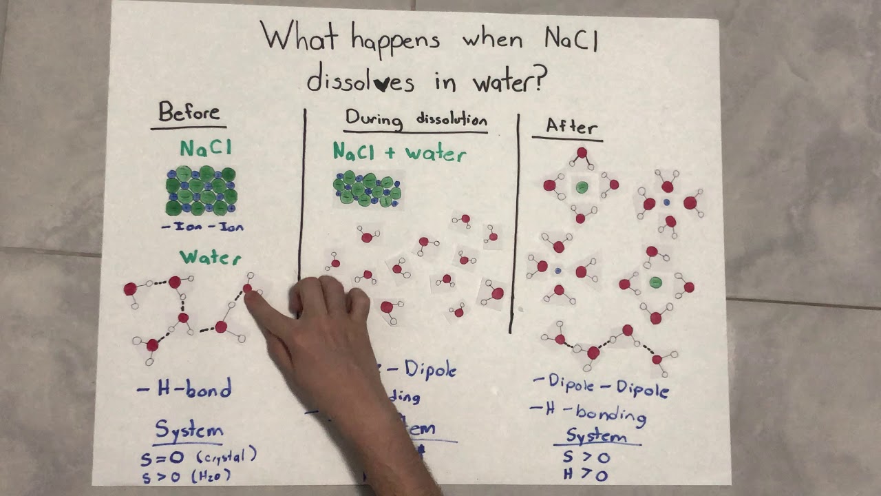 What happens when NaCl dissolves in water? - YouTube