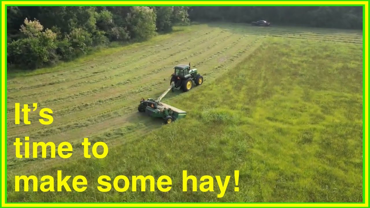 Let’s make some hay! - YouTube