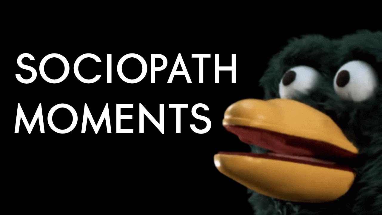 Most aggressive Duck Moments DHMIS | Best Moments of Don't Hug Me I'm ...