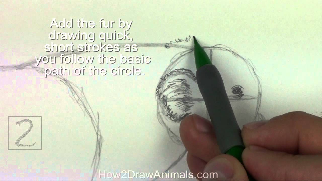 How to Draw a Mammoth - YouTube