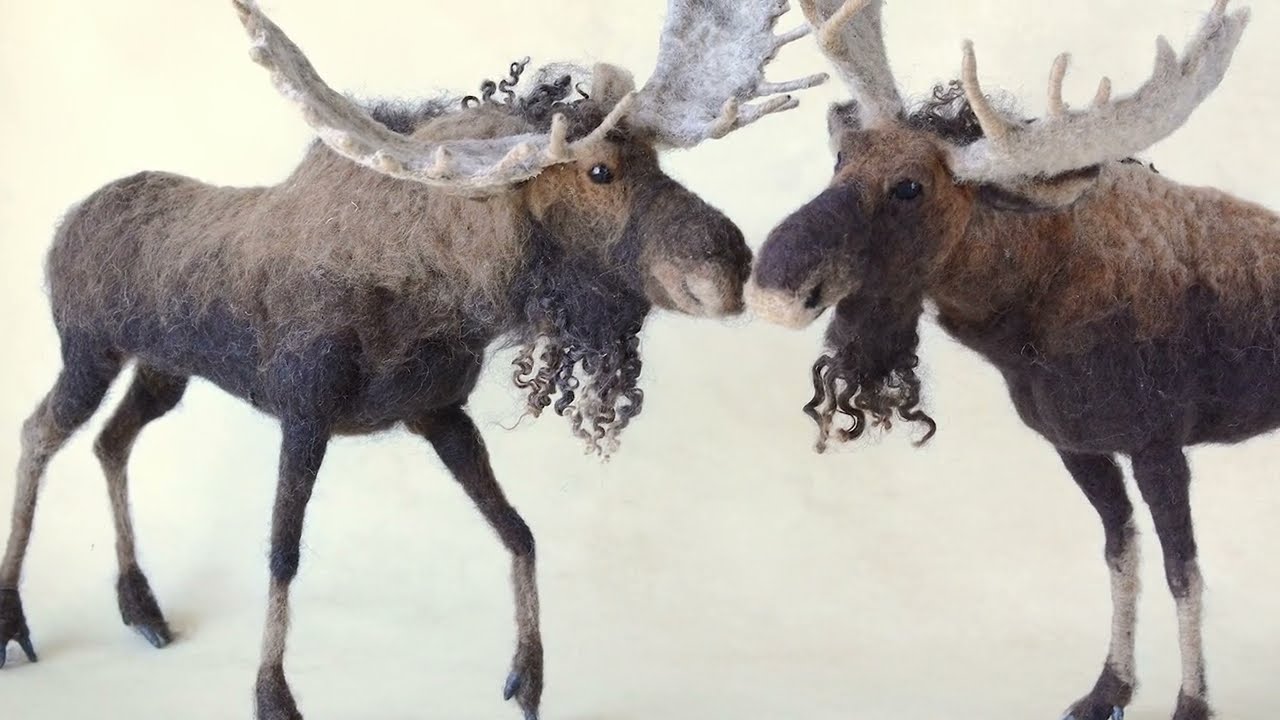 Moose Course Overview - YouTube