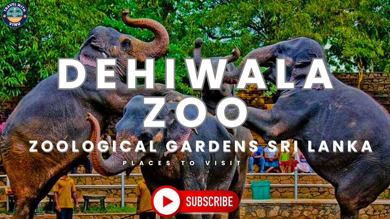 Dehiwala zoo / Zoological Gardens Sri Lanka /දෙහිවල සත්තු වත්ත 2024 ...