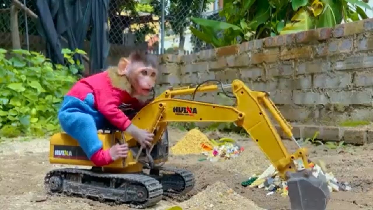 Monkey drive bulldozer, monkey story, monkey kids story, monkey kids ...
