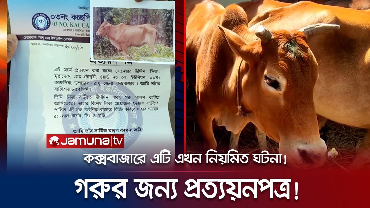 মানুষের জন্য নয়, প্রত্যয়নপত্র দেয়া হয়েছে গরুর জন্য! কিন্তু কেন ...