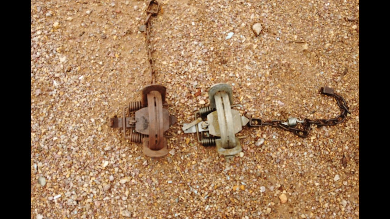 How to center swivel foothold traps in under 10 minutes! - YouTube