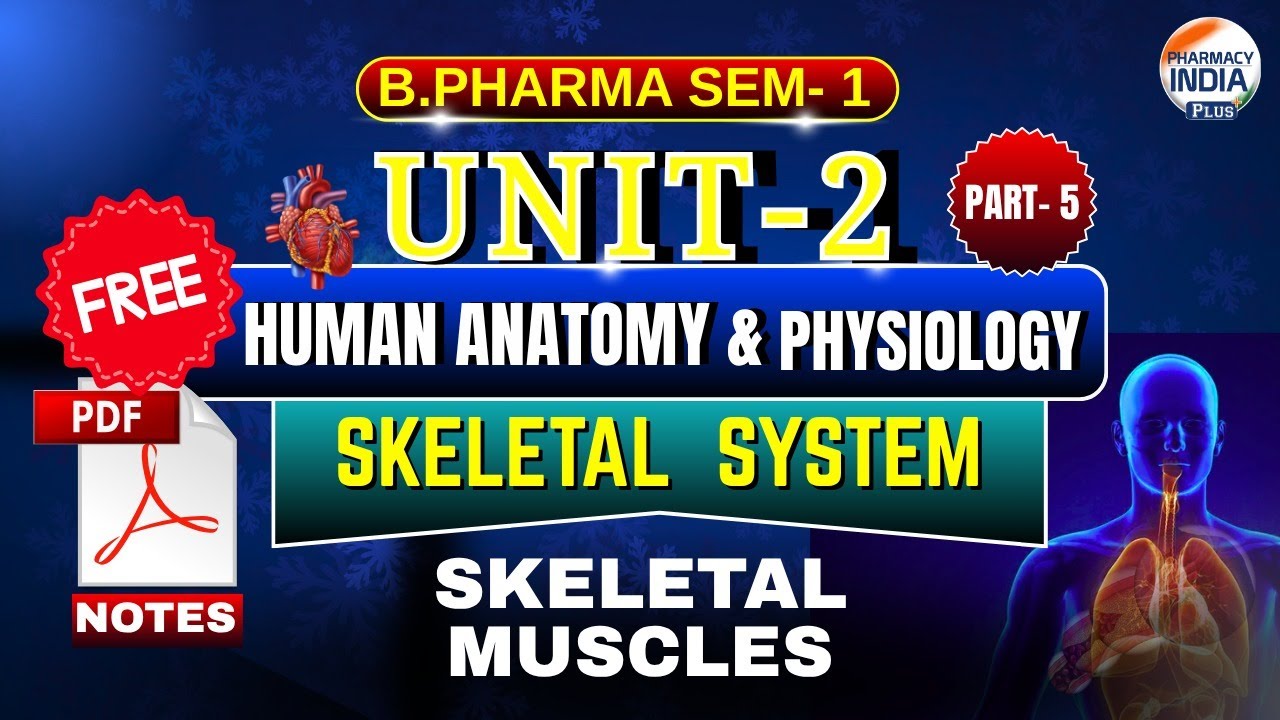 Skeletal Muscles | Skeletal System | HAP | Part -5 | Unit - 2 ...