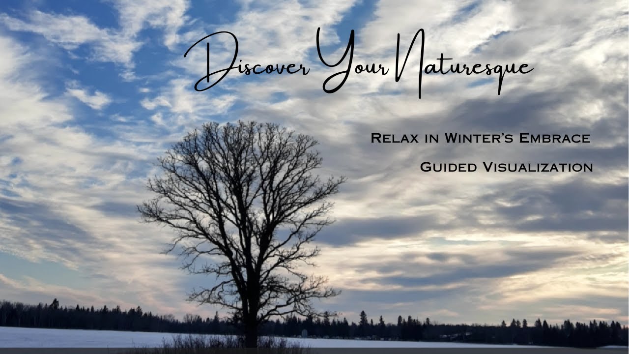 Frosty Elm Winter Wonderland Nature Visualization Breathing Exercise ...