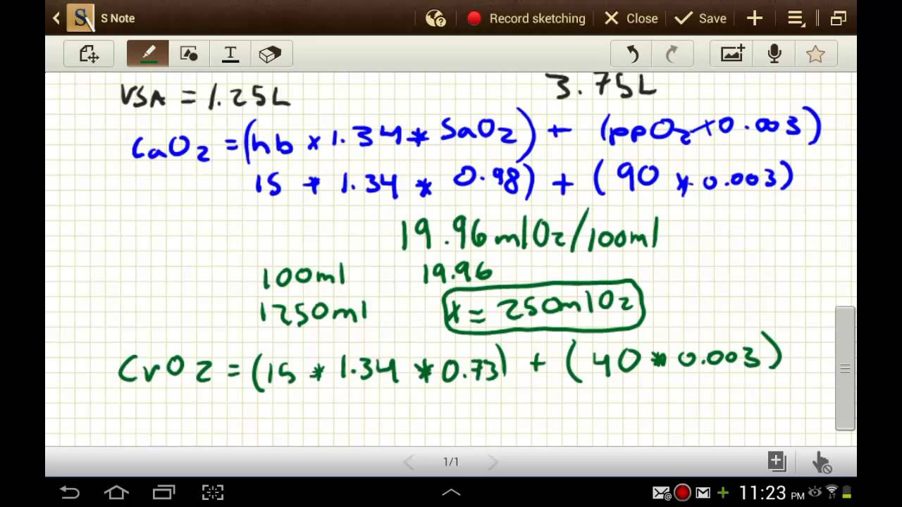 Entrega y consumo de oxígeno Fisiologia - YouTube