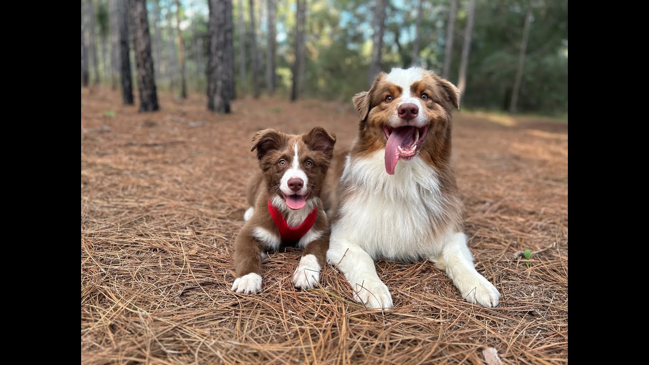 Wing wrap foundations - YouTube