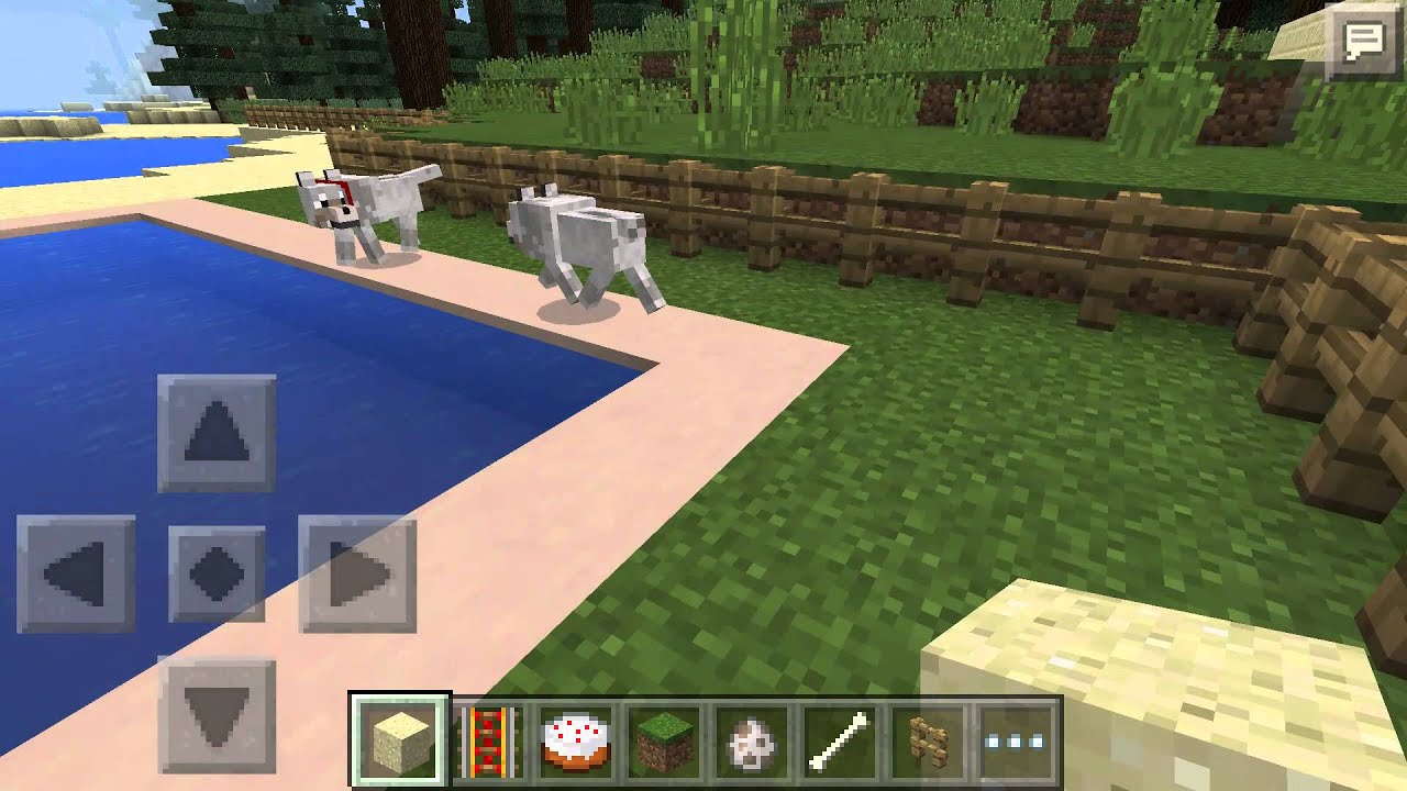 Minecraft Beach Party Dogs at swimming pool - YouTube