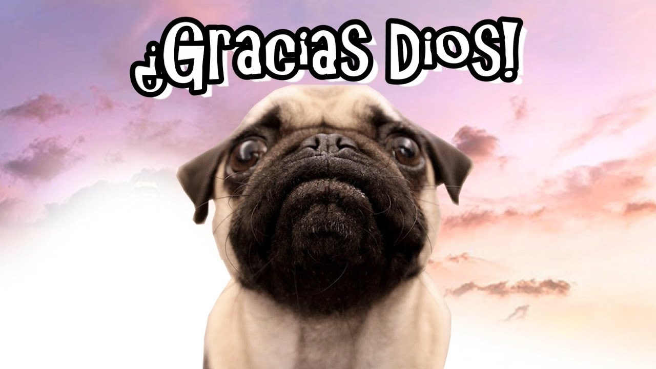 Yo soy Toto T01 E19 - Dios escucha a Toto 😇 - YouTube