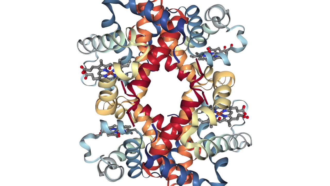Protein Synth – 1gzx (partial) - YouTube