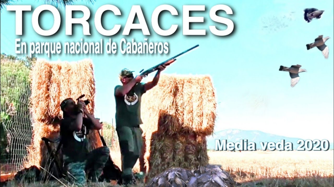 CAZANDO PALOMAS TORCACES FINCA"LA RAÑA DE VALDEAZORES". Disp.Min13. # ...