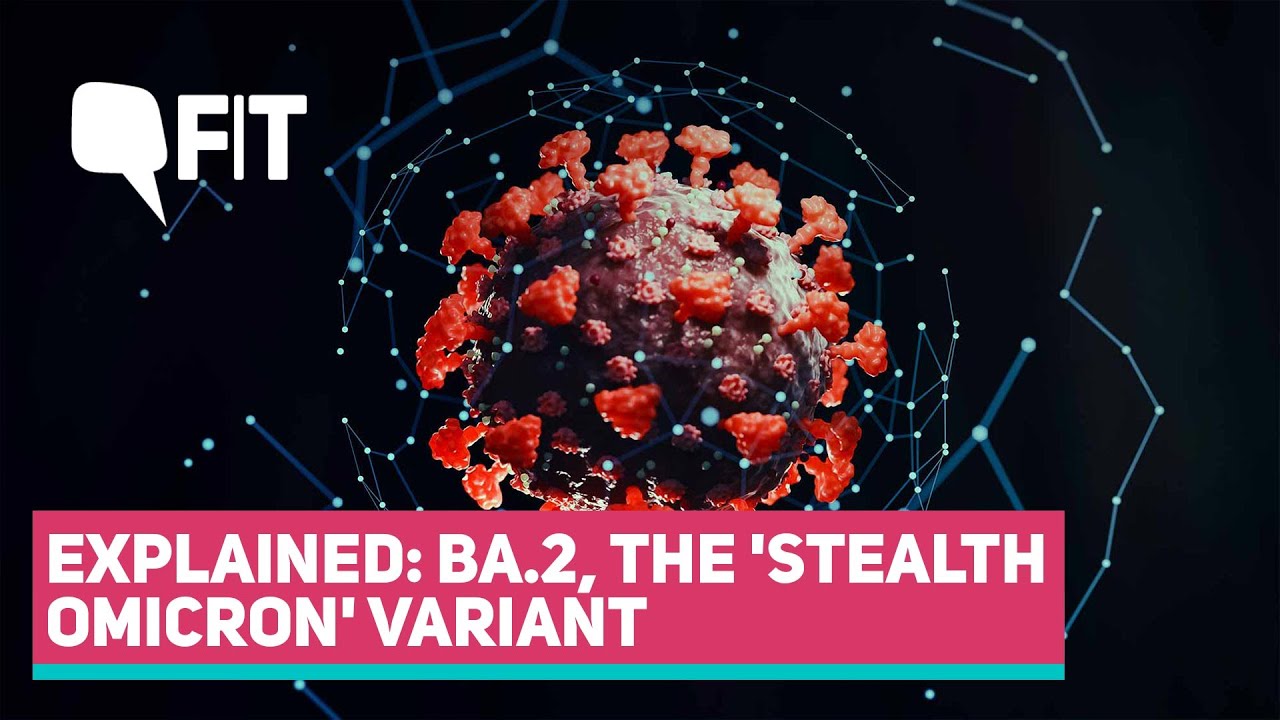BA.2 Explained | What to Know About the ‘Stealth Omicron’ Variant | the ...