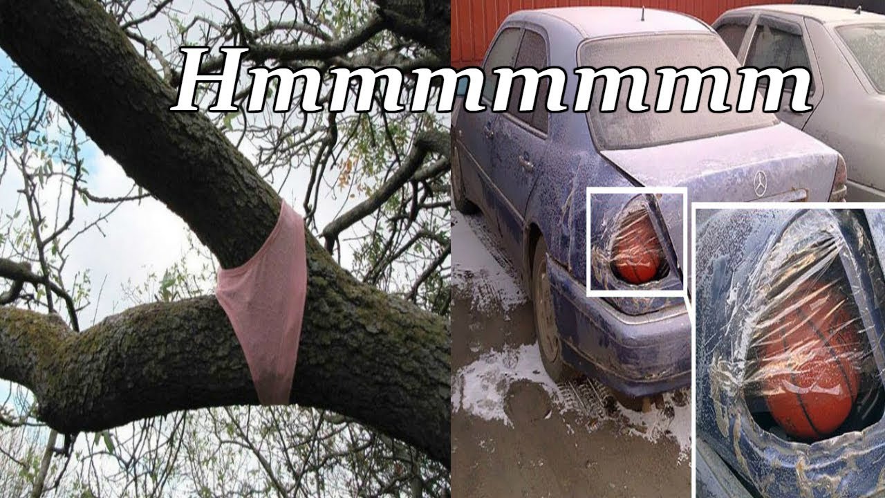 20+ ‘Hmmm’ Photos That Raise More Questions Than They Will Answer - YouTube
