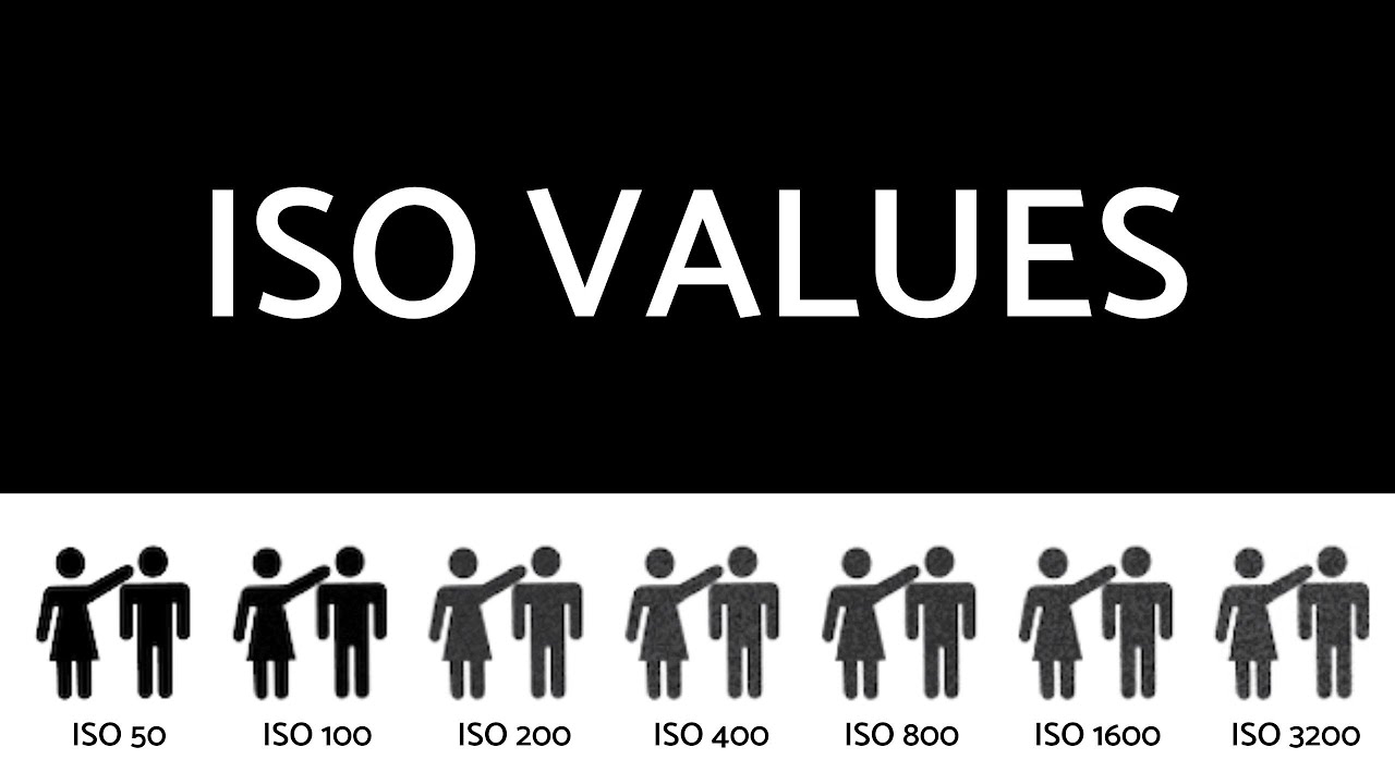 Stop Guessing - Common ISO Values You NEED to Know - YouTube