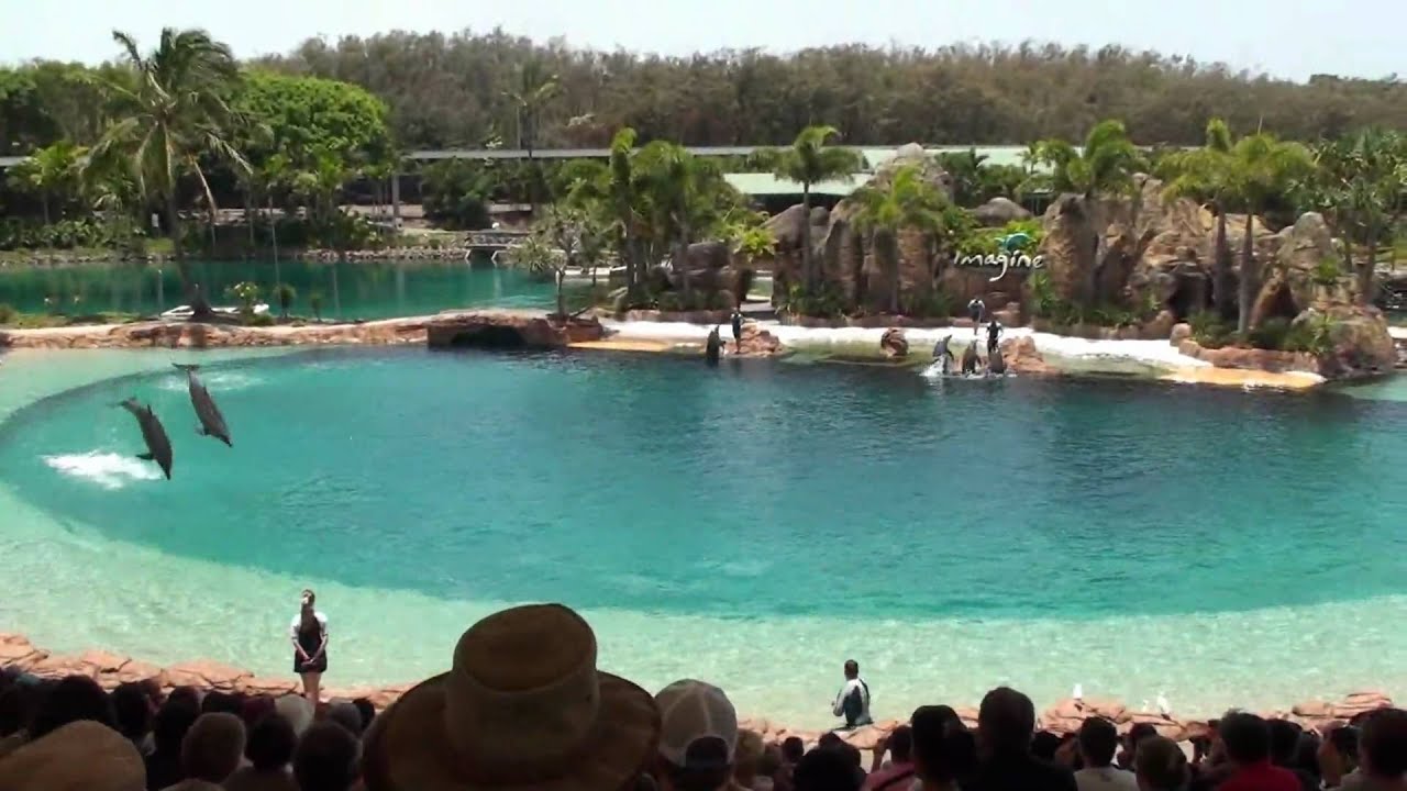 Seaworld Imagine Dolphin Show - Part 1 Of 2 - YouTube