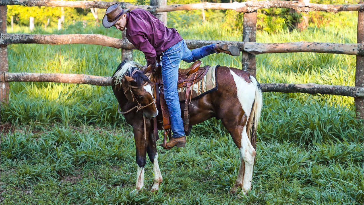 Colt Starting (FIRST RIDE!) - YouTube