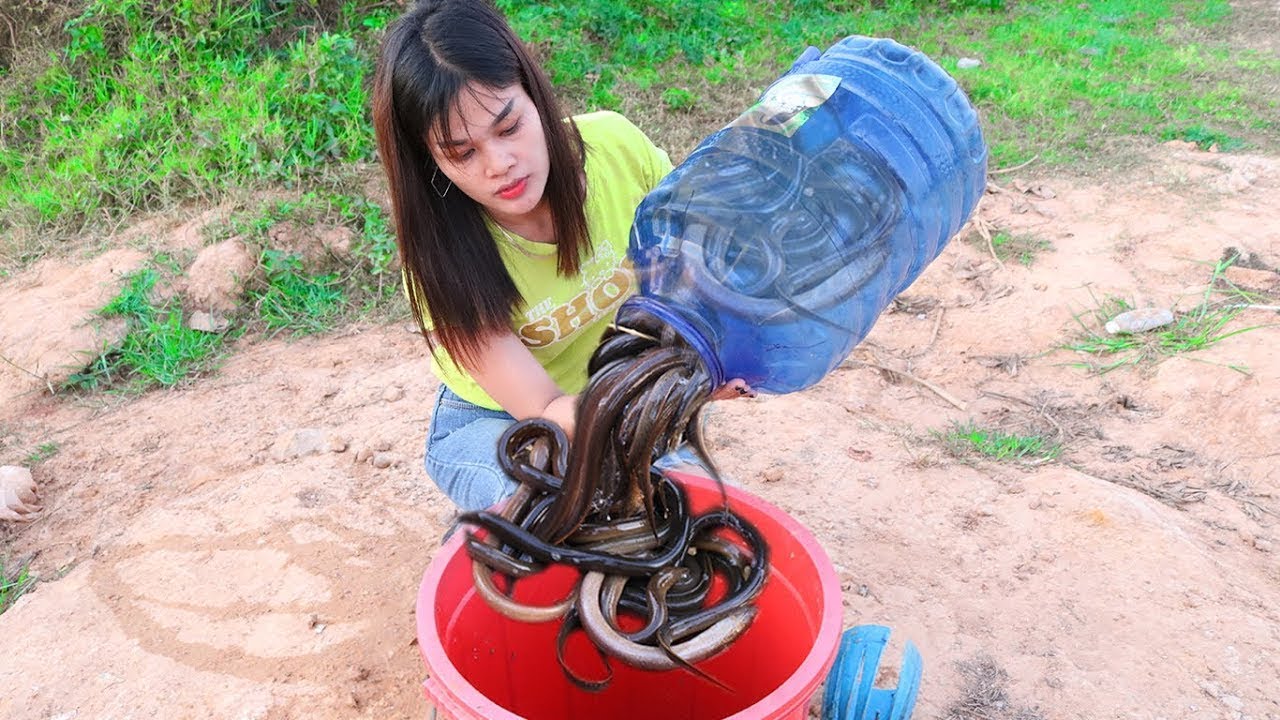 Easy Eel Trap - Build Unique Eel Trap Make Blue Water Bottle ...