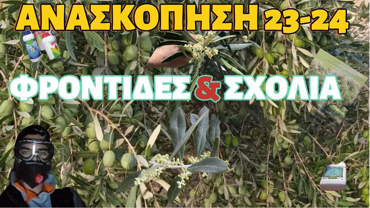 ΑΝΑΣΚΟΠΗΣΗ ΧΡΟΝΙΑΣ- ΟΛΑ ΤΑ ΣΤΑΔΙΑ-ΦΡΟΝΤΙΔΕΣ ΚΑΙ ΣΧΟΛΙΑ ΜΕΧΡΙ ΣΗΜΕΡΑ ...