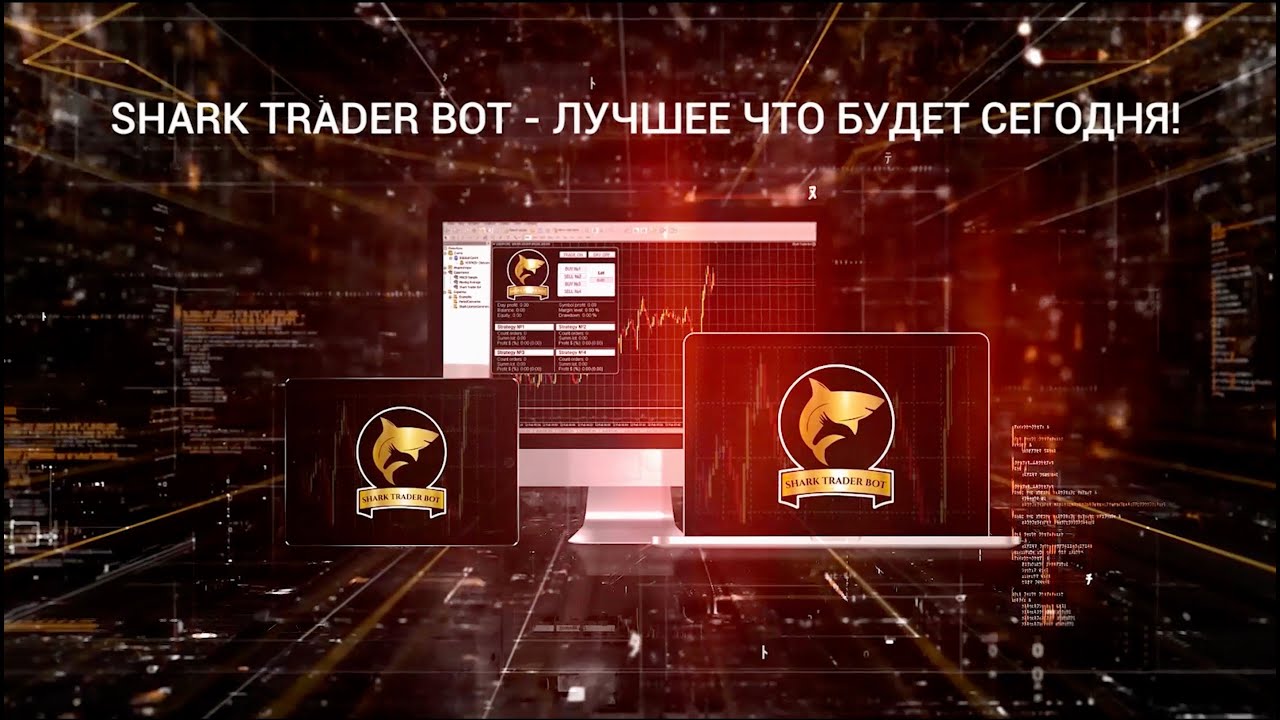МУЛЬТИВАЛЮТНЫЙ РОБОТ SHARK TRADER BOT - YouTube