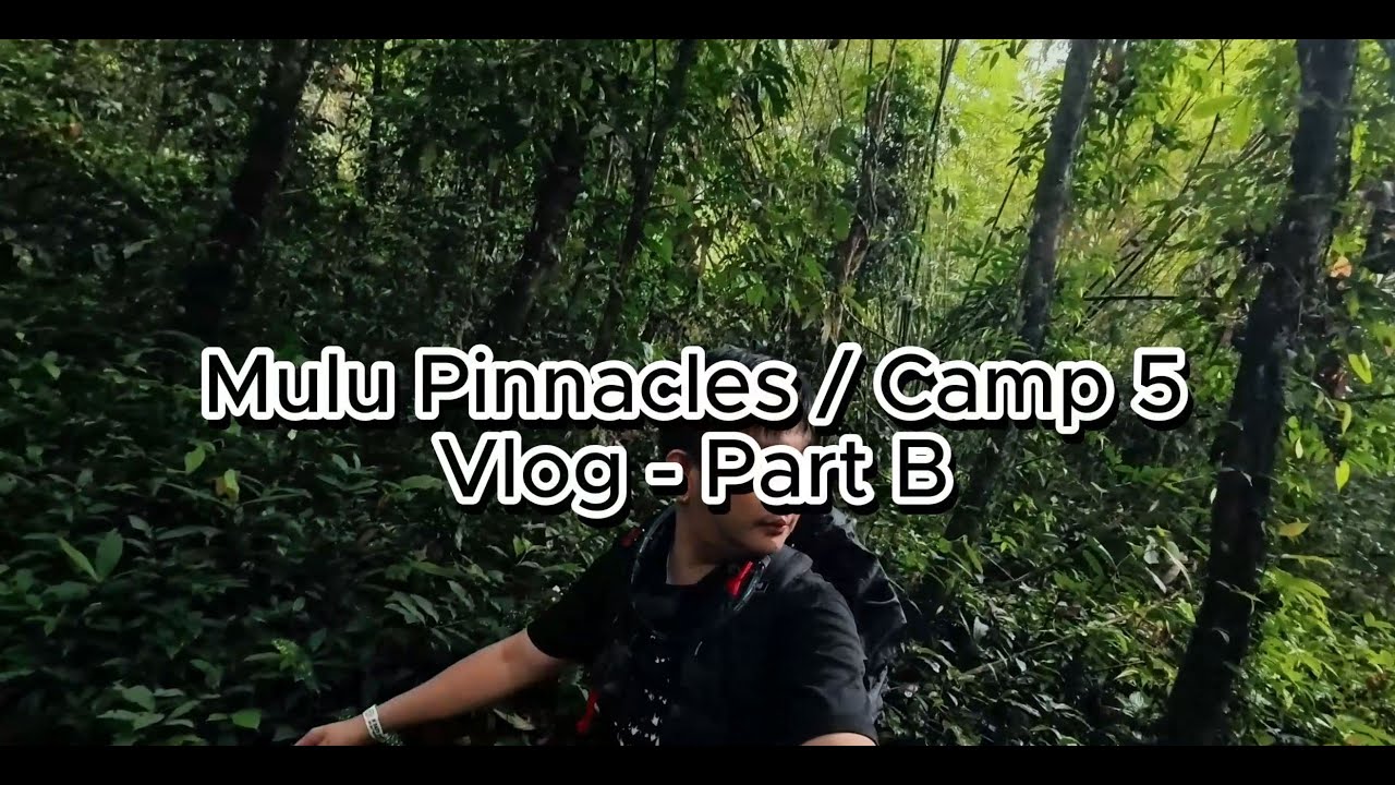 Mulu Pinnacles / Camp 5 Vlog - Part B - YouTube