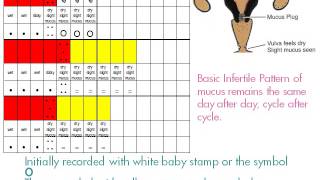 Ovulation Method Chart
