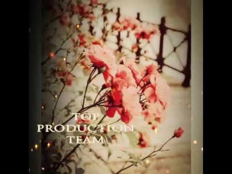 dedim ki bende gönlün var mi dedi yok yok [halit bilgic]