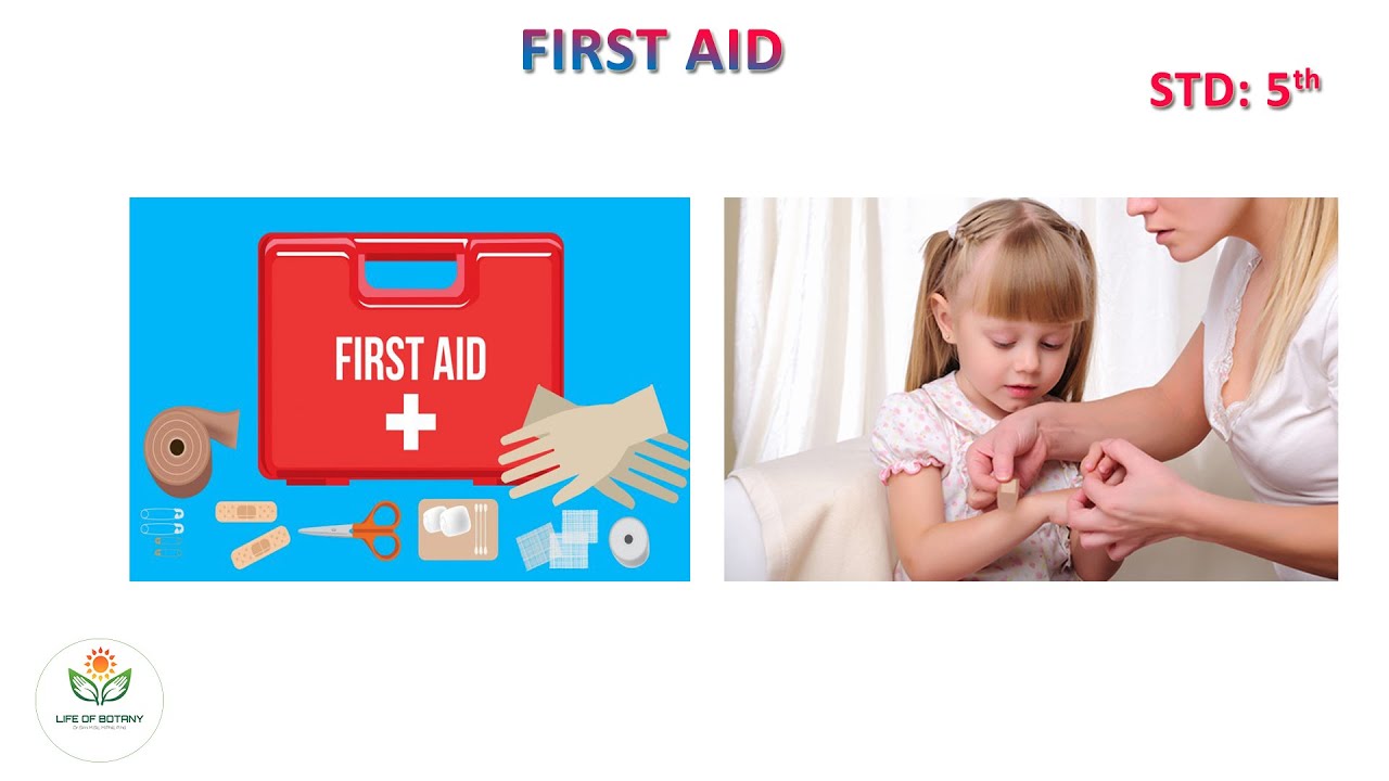 Science Class 4 And 5 Lesson 1 Safety And First Aid YouTube science-class-4-and-5-lesson-1-safety-and-first-aid-youtube