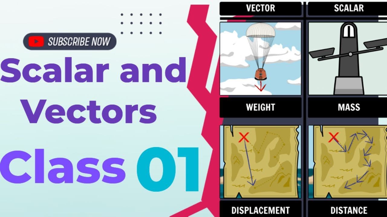 Scalar and Vector Class 01 - YouTube