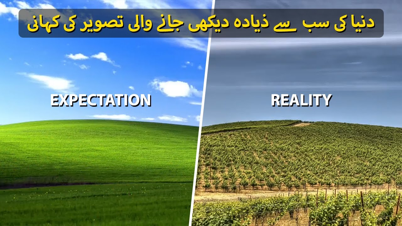 The Story of Microsoft's Windows XP Famous Wallpaper Bliss | Urdu - YouTube