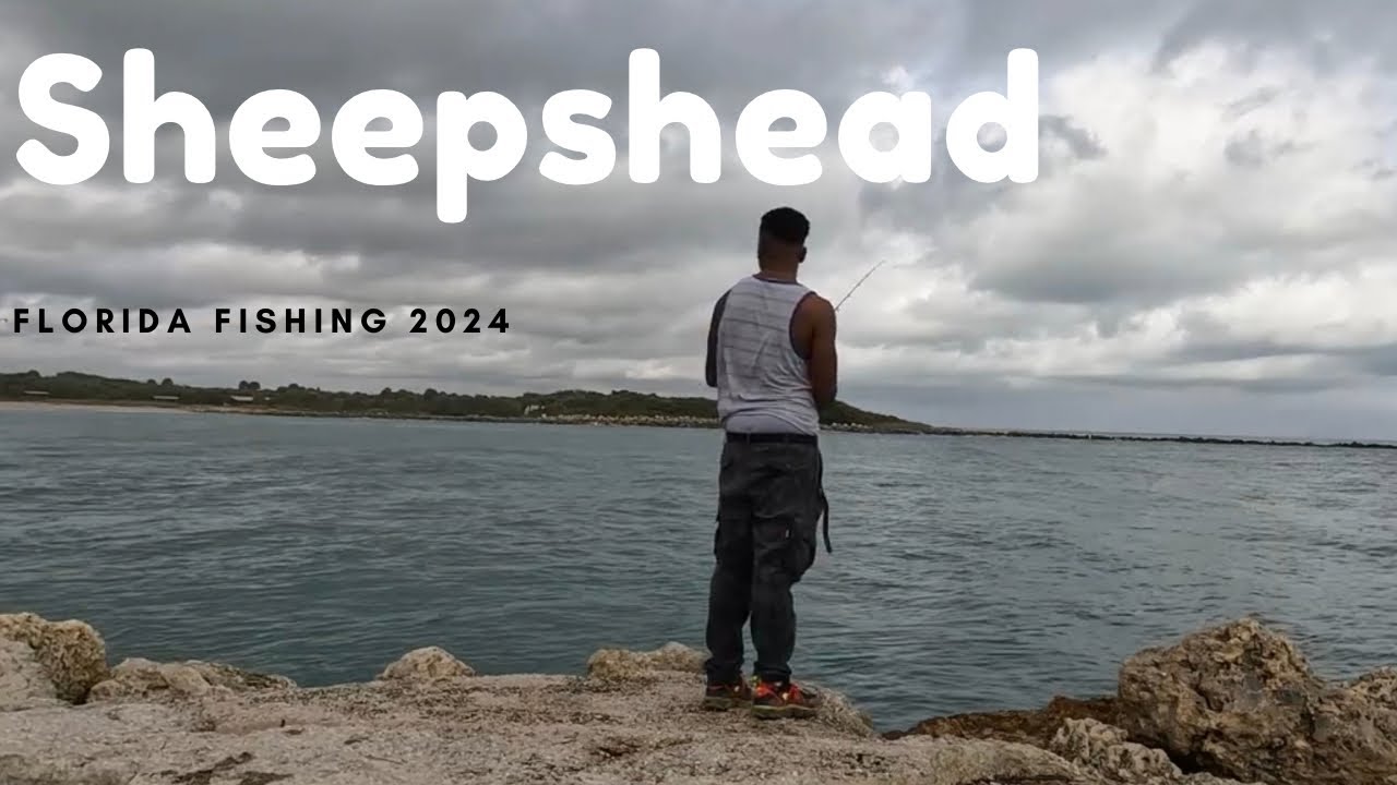 Florida Sheepshead Fishing | BukXFishing - YouTube
