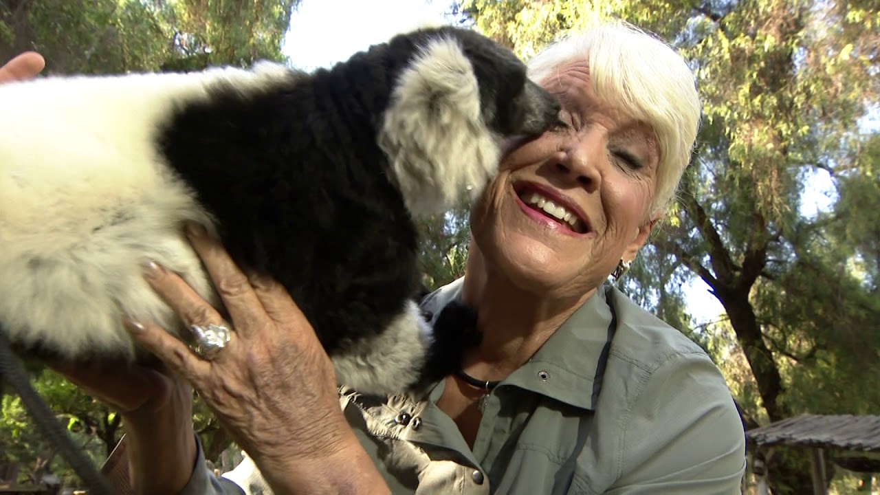 Joan Embery, world-famous animal ambassador shares her animals with ...