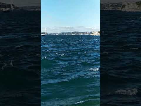 Melihat Gülses - şarkılar seni Söyler Dillerde nağme adın.