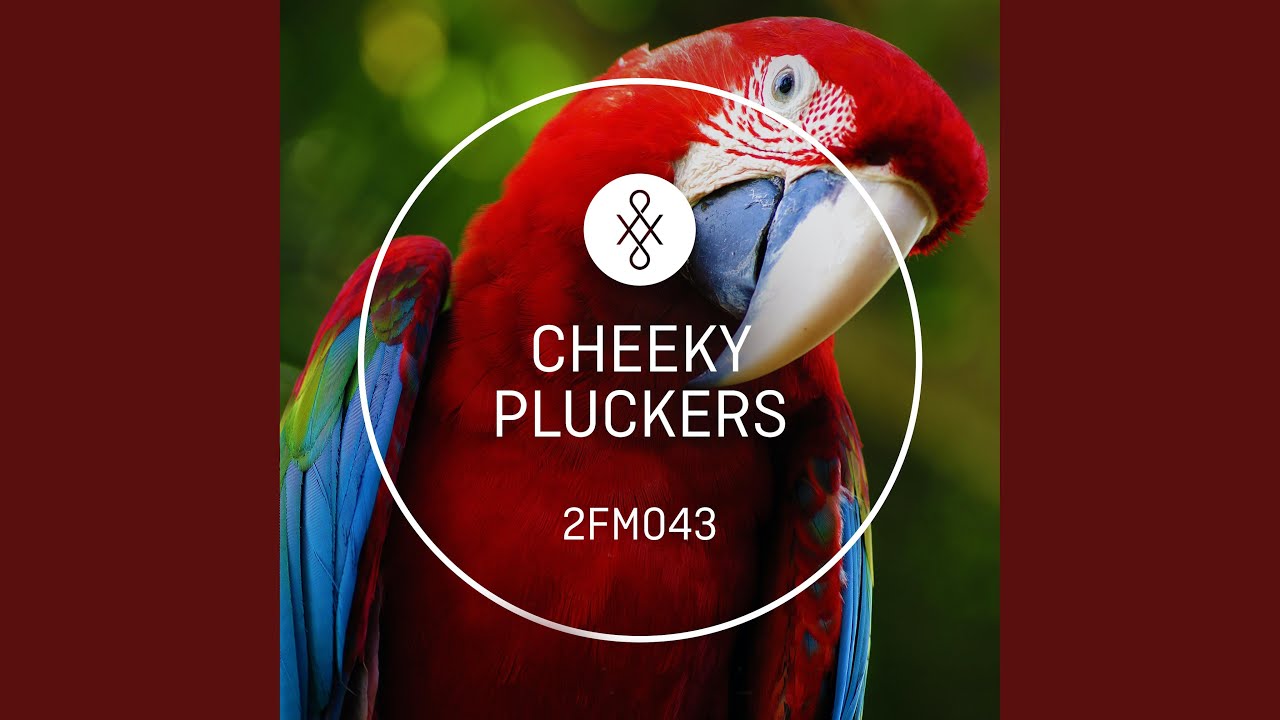 Cheeky Rascal - YouTube