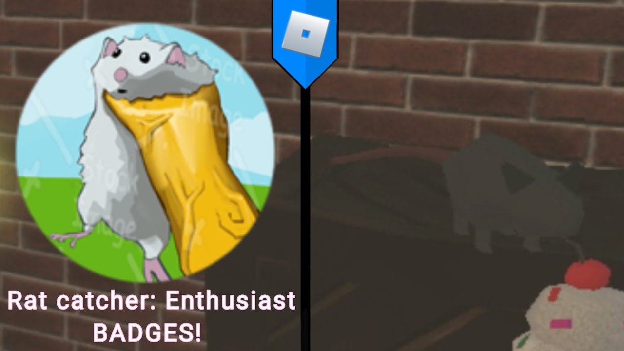 HOW TO GET Rat Catcher Enthusiast BADGES And 5 Of Rat Loction The Mad how-to-get-rat-catcher-enthusiast-badges-and-5-of-rat-loction-the-mad