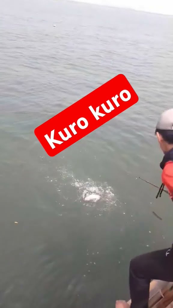 straik kuro kuro #mancingbaganpertamina - YouTube