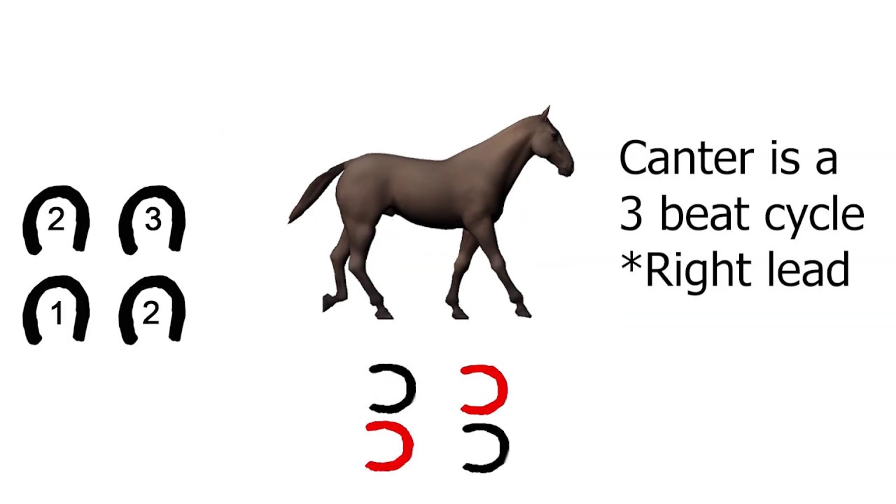 JH Animation & Art Showreel 2020 - YouTube